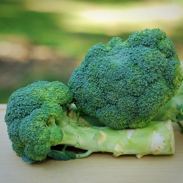 Broccoli Stalk