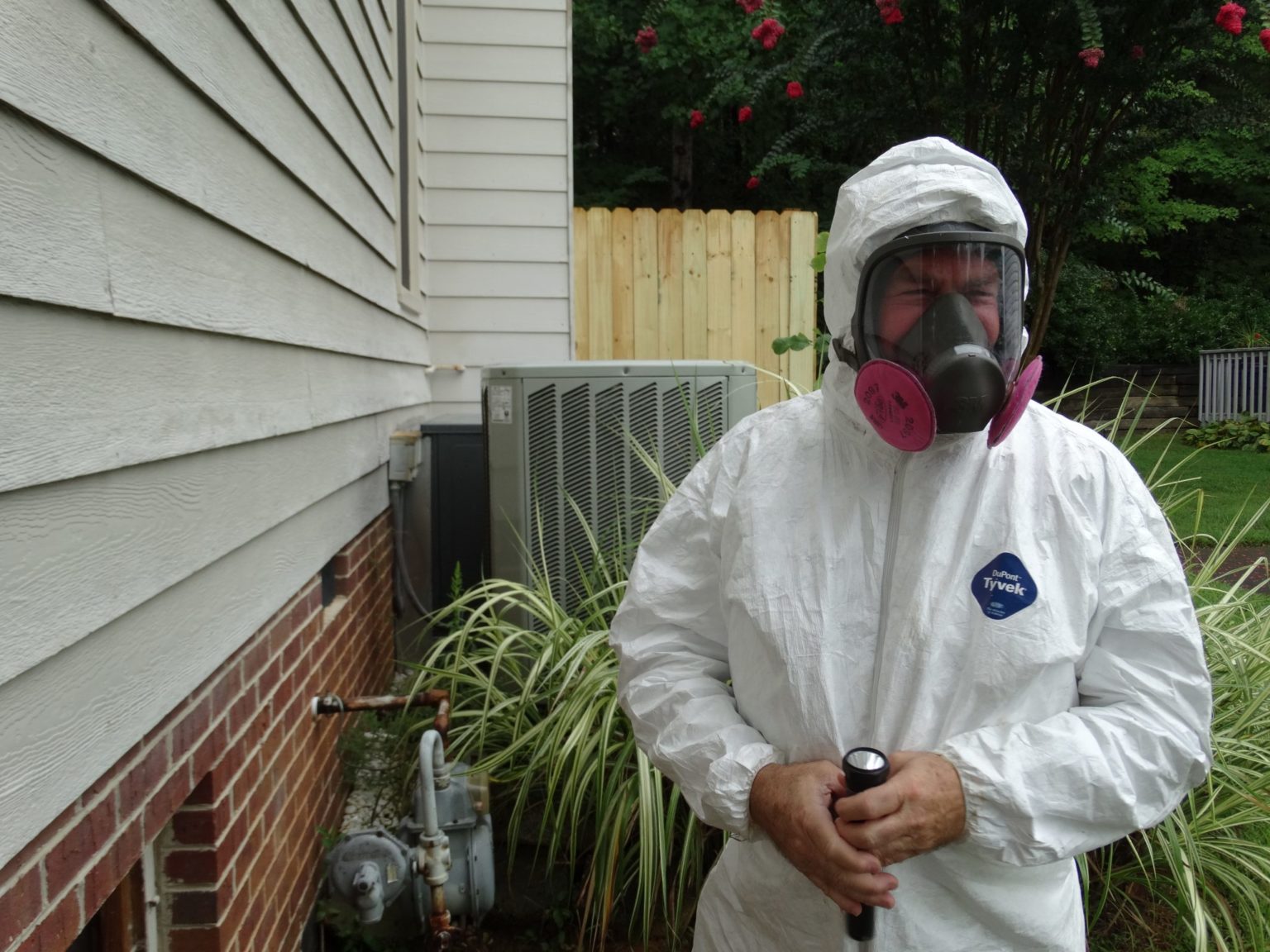 Clean up mold or hire help; here's how to decide what to do