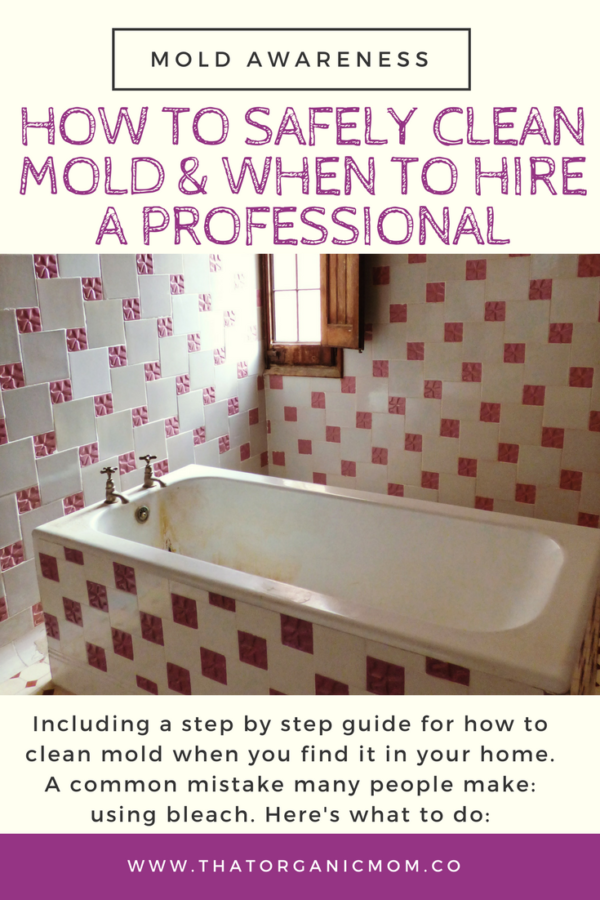 Clean up mold or hire help; here's how to decide what to do