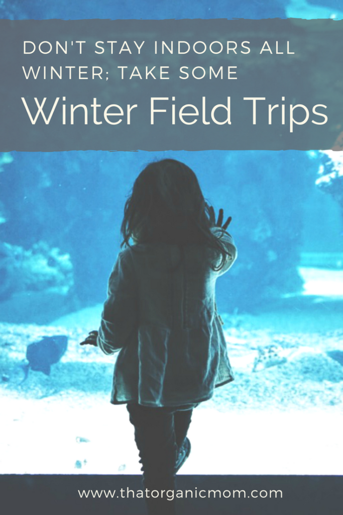 Winter Field Trips for Homeschoolers (and everyone else!)