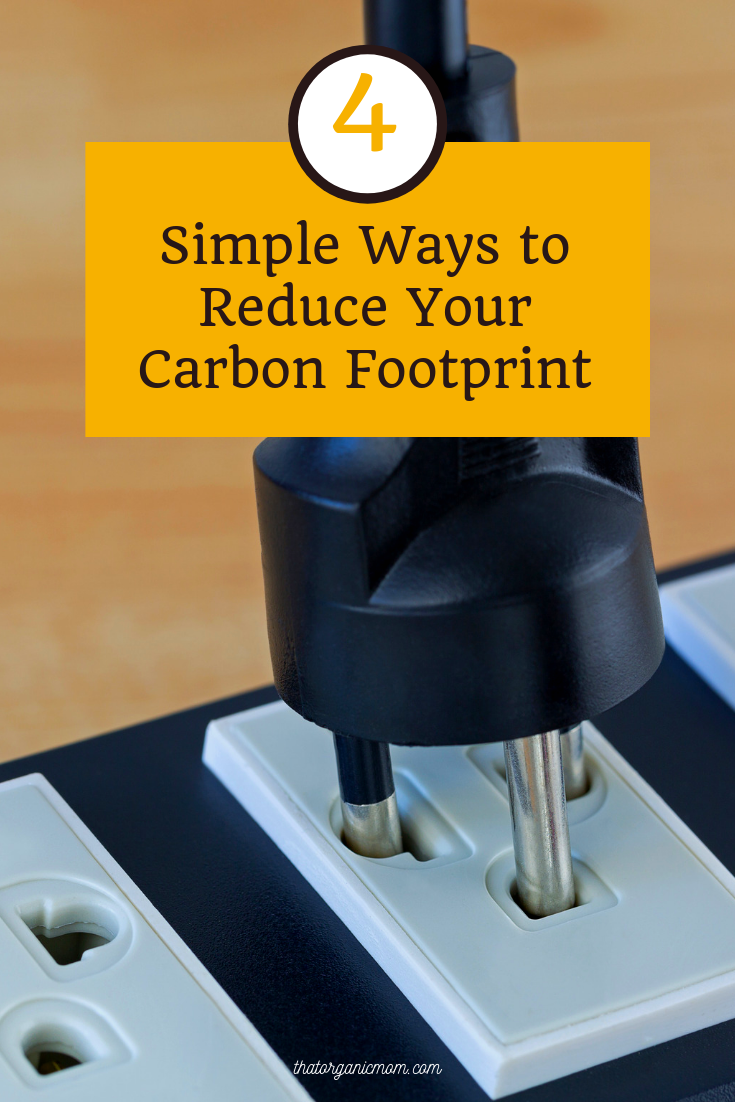 4 Simple Ways to Reduce Your Carbon Footprint