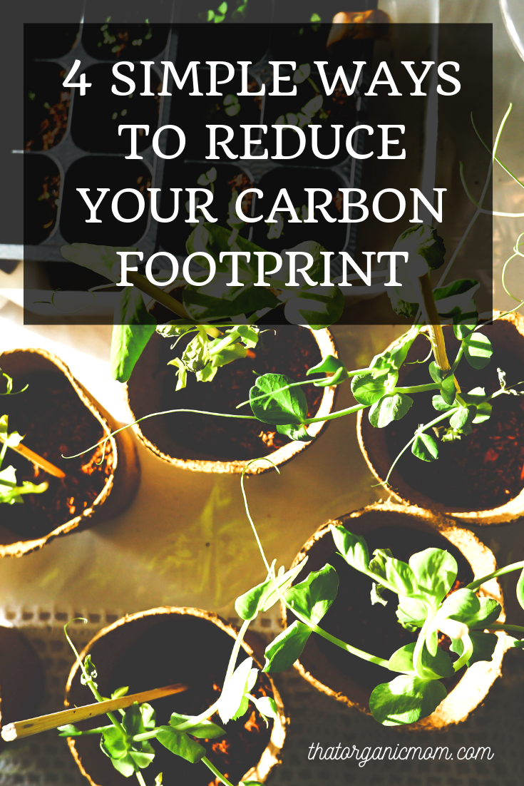 4 Simple Ways to Reduce Your Carbon Footprint