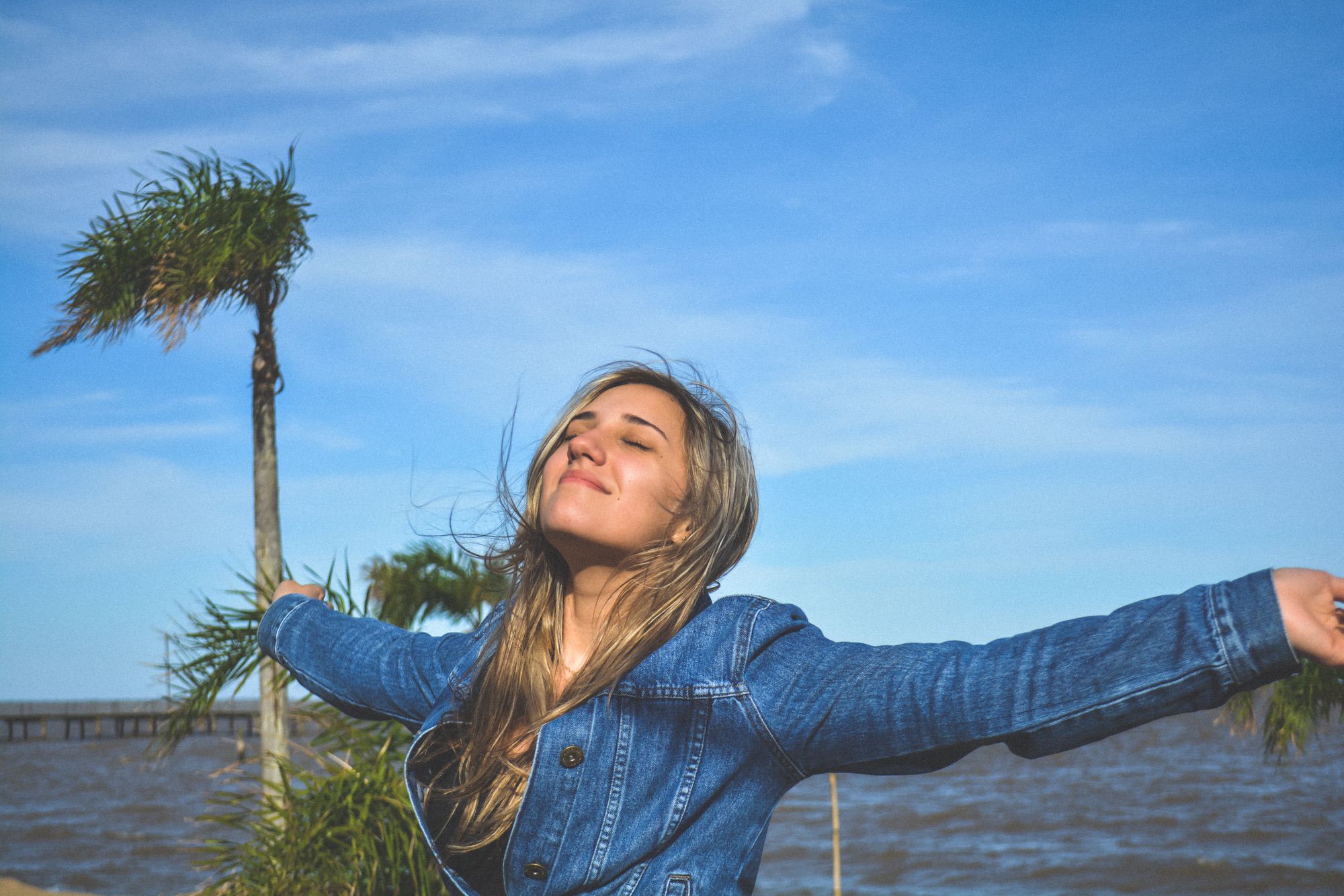 Beginners Guide To Cbd Oil And Other Cbd Products