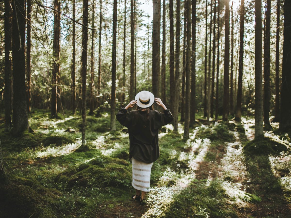 Forest Bathing - A natural prescription