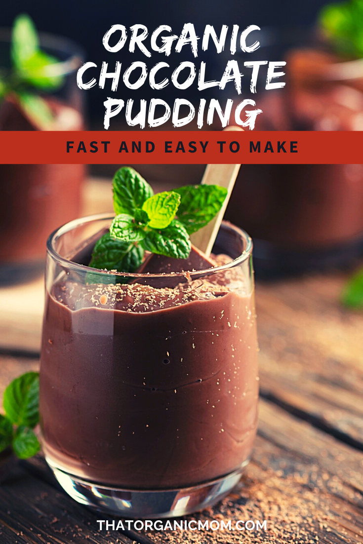 Simple Organic Chocolate Pudding Recipe