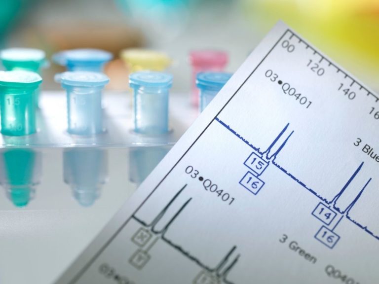 Genetic Testing at Home - My Review of SelfDecode