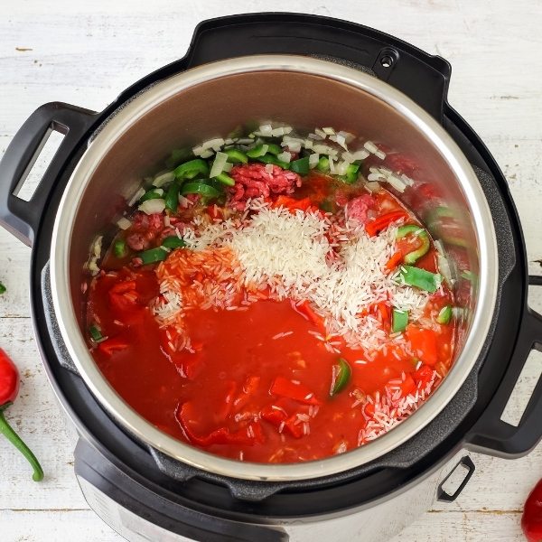 First Impressions of the Instant Pot