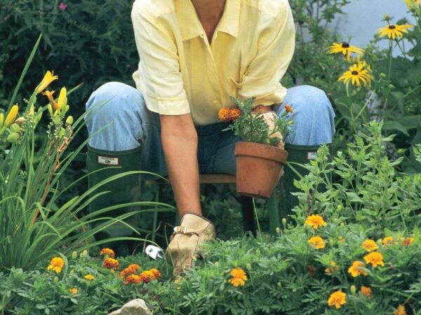 How to Do Natural Pest Control for a Toxic Free Home